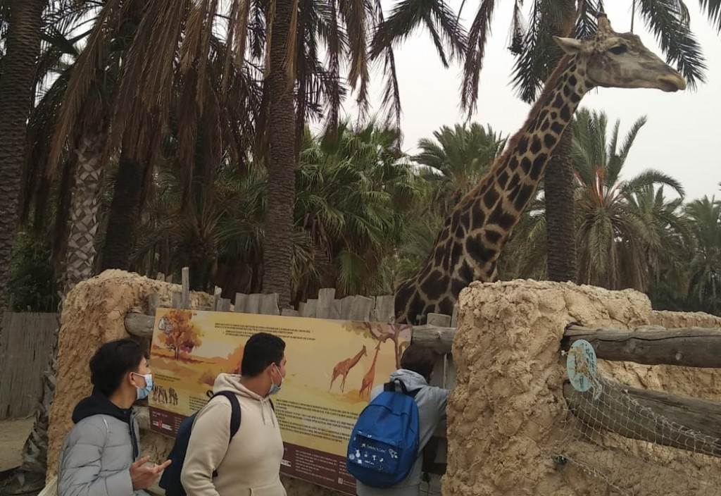 El parque zoológico Río Safari Elche recibe la visita de los jóvenes ...